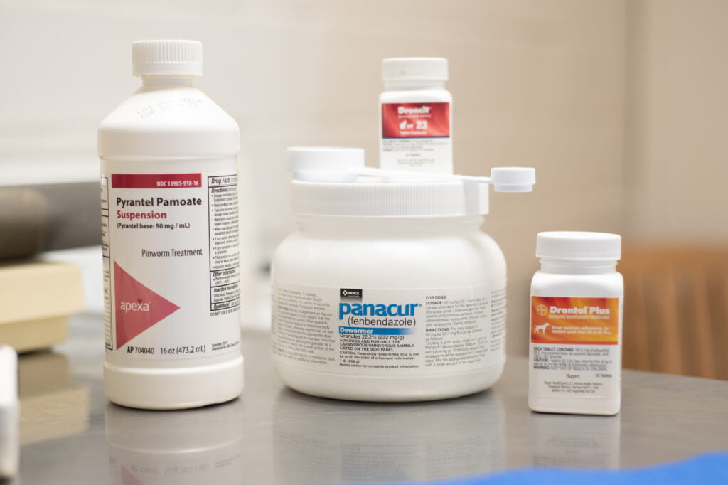Parasite Control - West Alabama Animal Clinic